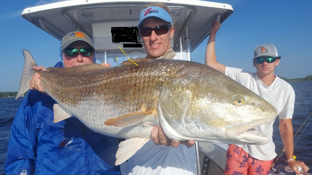 North Carolina Giant Redfish, High Volume Striped Bass #34 - Fish Nation